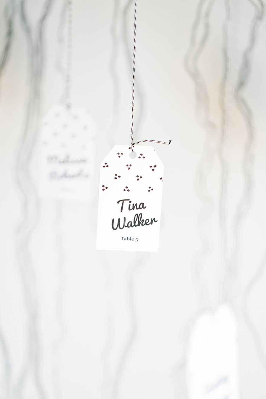 Balloon Ceiling DIY with Free Tag Printables ⋆ Ruffled